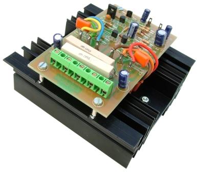 Cebek 100W Mono Amplifier Module | E-8